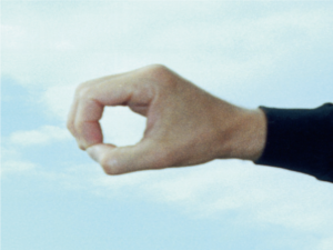 Hand Signals - Skydive the Ranch