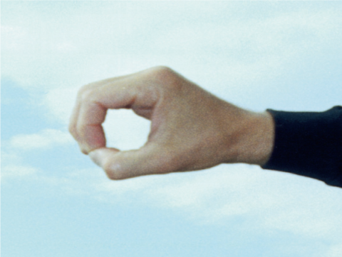 Hand Signals - Skydive the Ranch