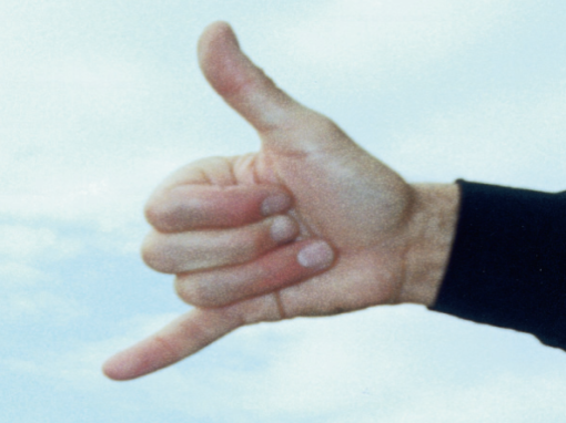 Hand Signals - Skydive the Ranch