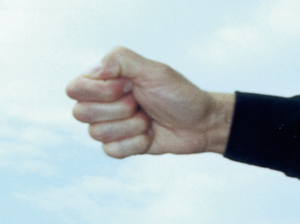 Hand Signals - Skydive the Ranch