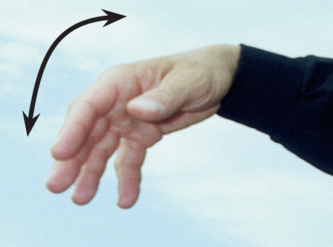 Hand Signals - Skydive the Ranch